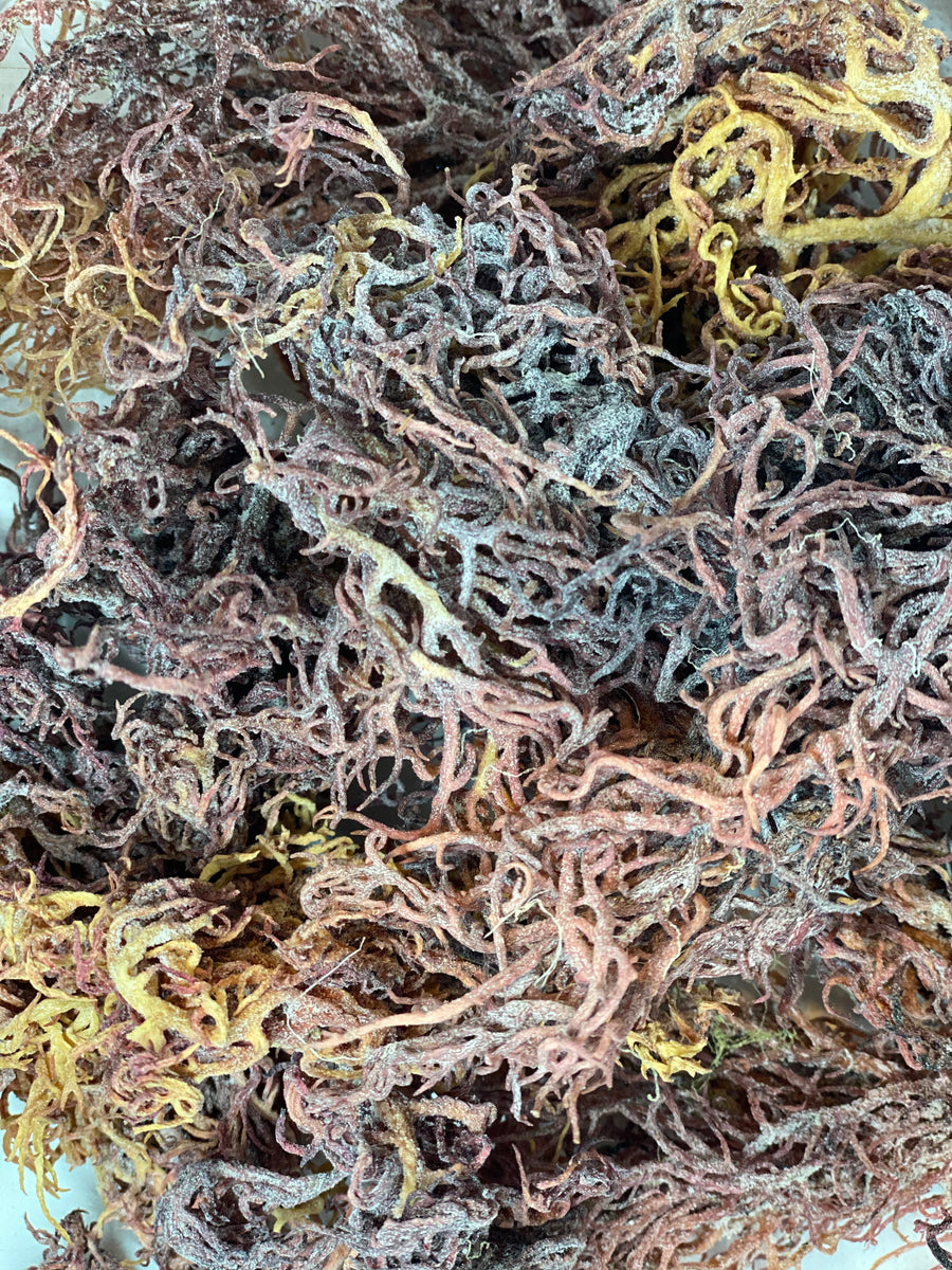 Full Spectrum Raw Sea Moss – JamaicanMeSeaMoss